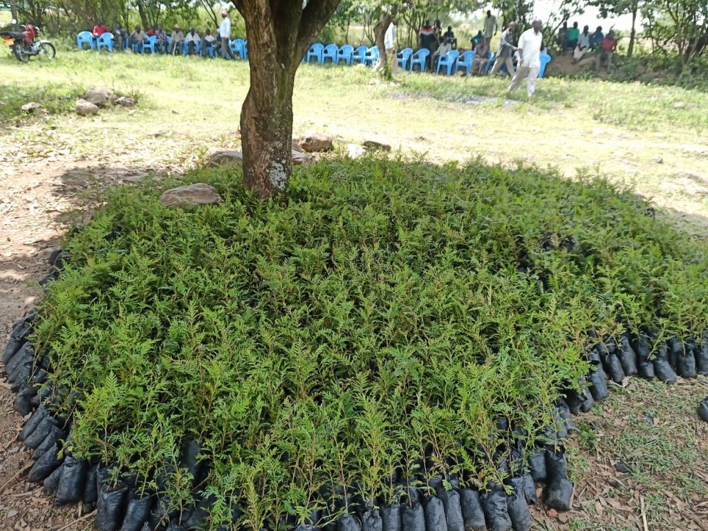 Environment - Rai Cement